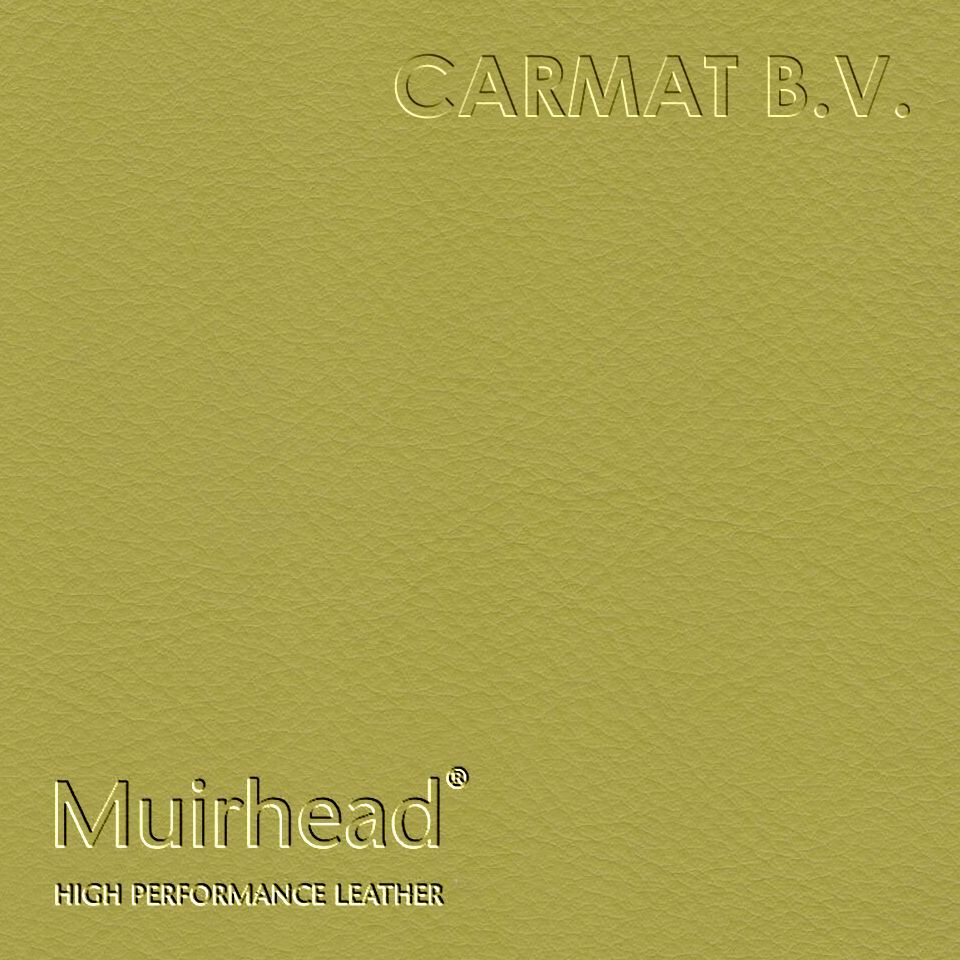 Leather hide Muirhead Caledonian parrot per hide - Muirhead
